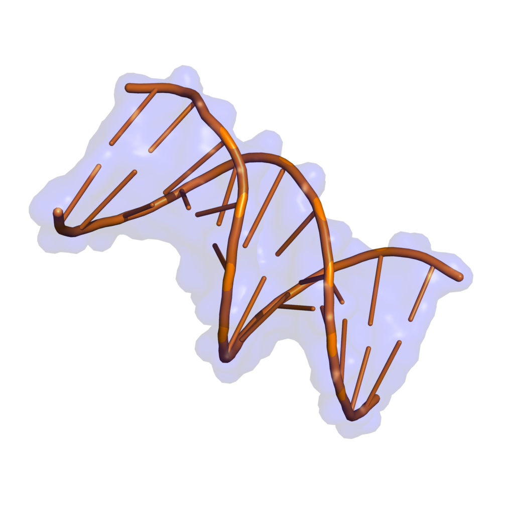 NEX SARS-CoV-2 GENE N – NexVitro Biologics